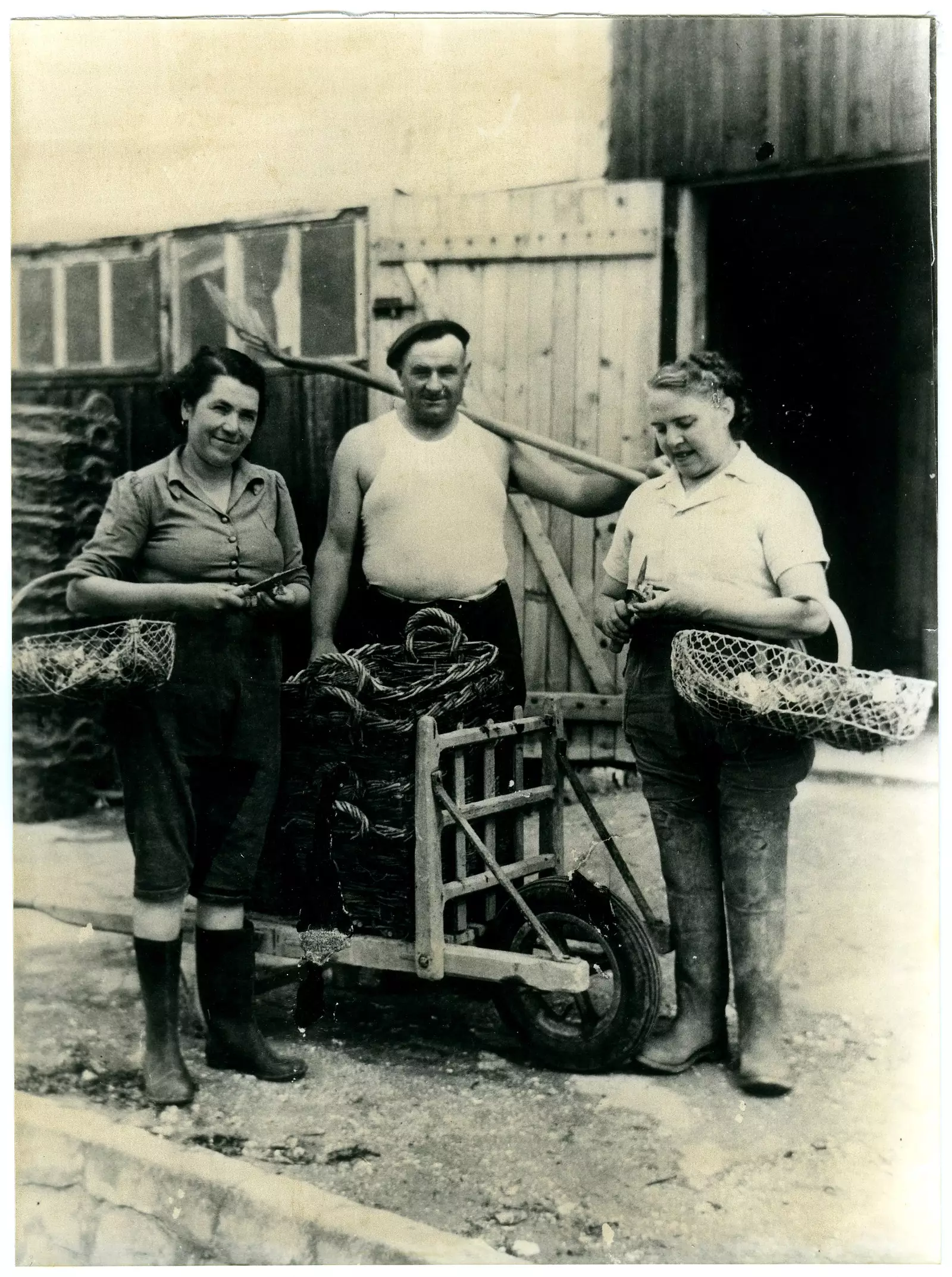 Chiyambi cha kampani ya oyster yaku France Daniel Sorlut m'ma 1930