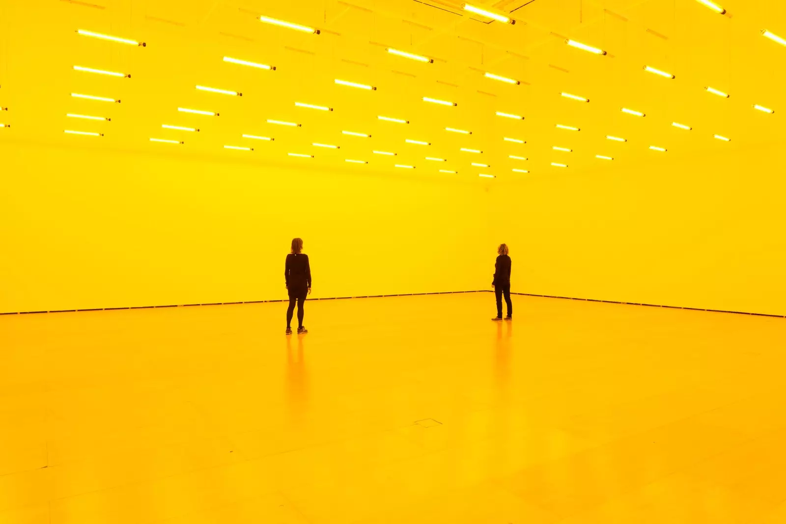 Bir renk için bir oda Olafur Eliasson