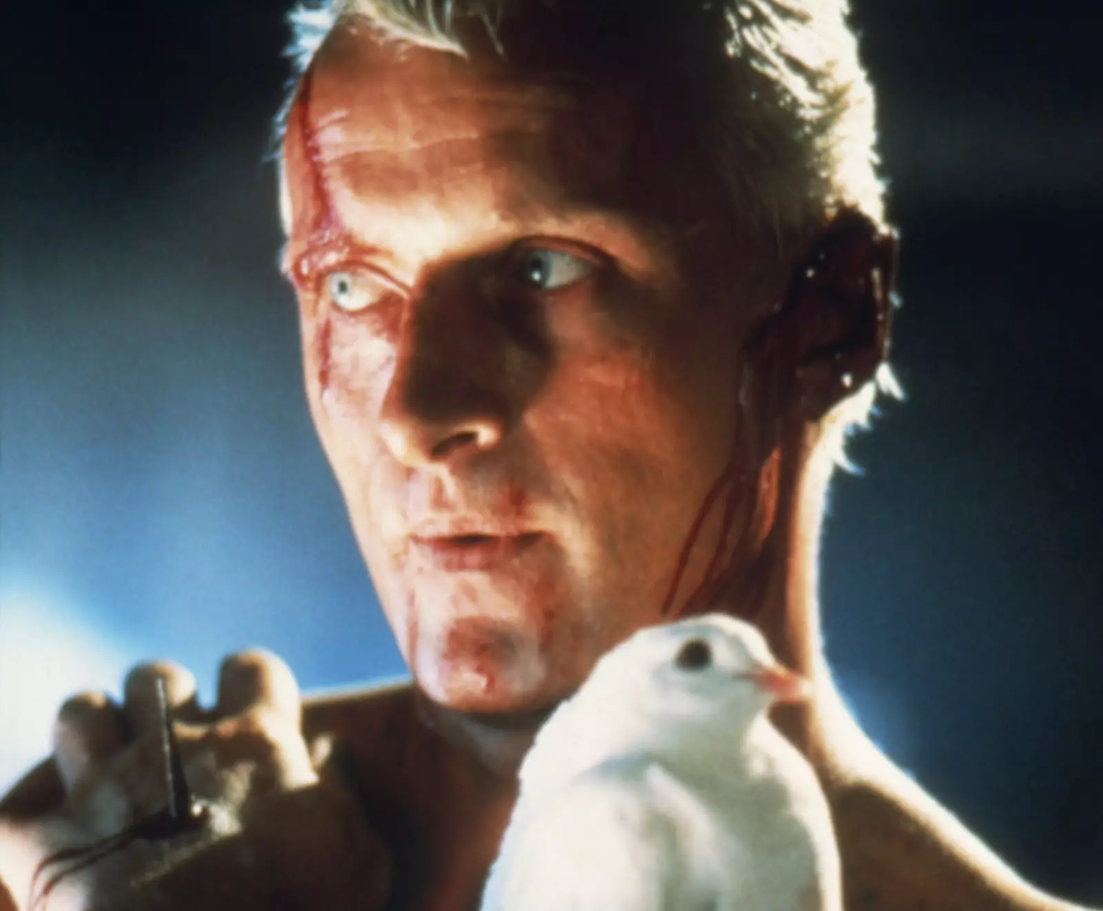 Rutger Hauer sa 'Blade Runner'.