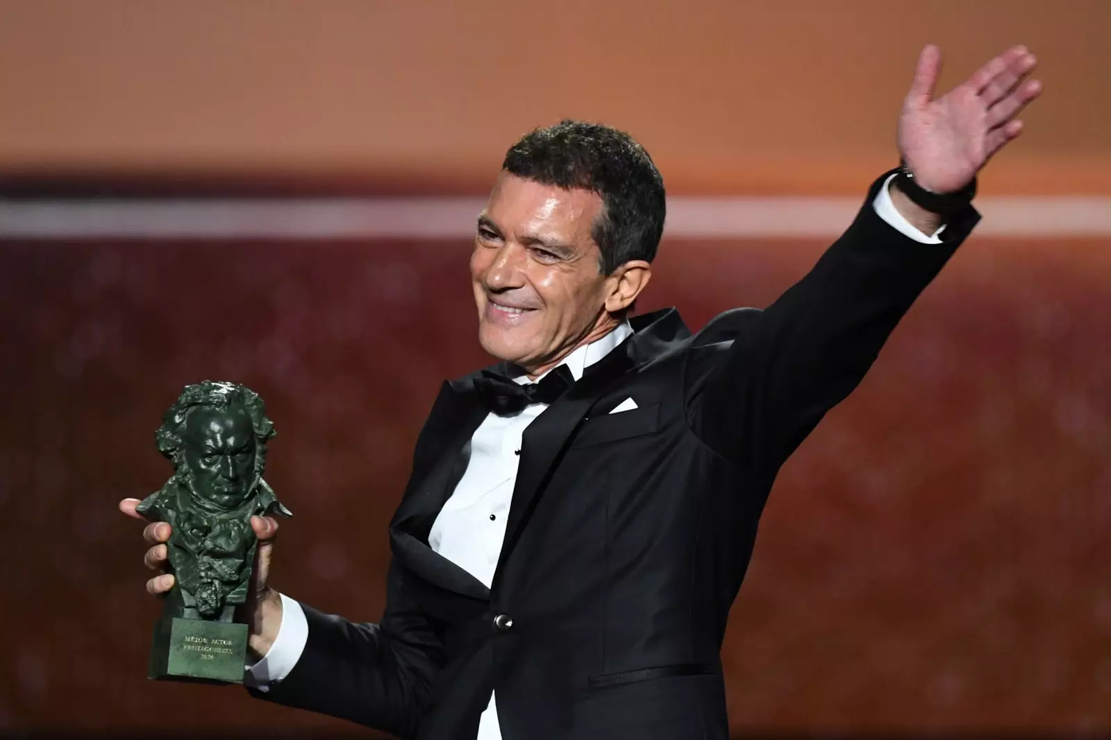 Antonio Banderas වේදනාව සහ මහිමය සඳහා Goya එකතු කරයි.