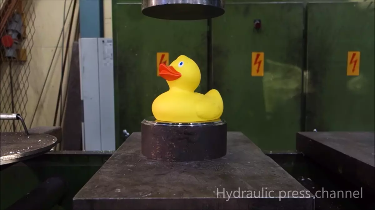 Un canard en caoutchouc avant d'être écrasé par un barrage hydraulique.