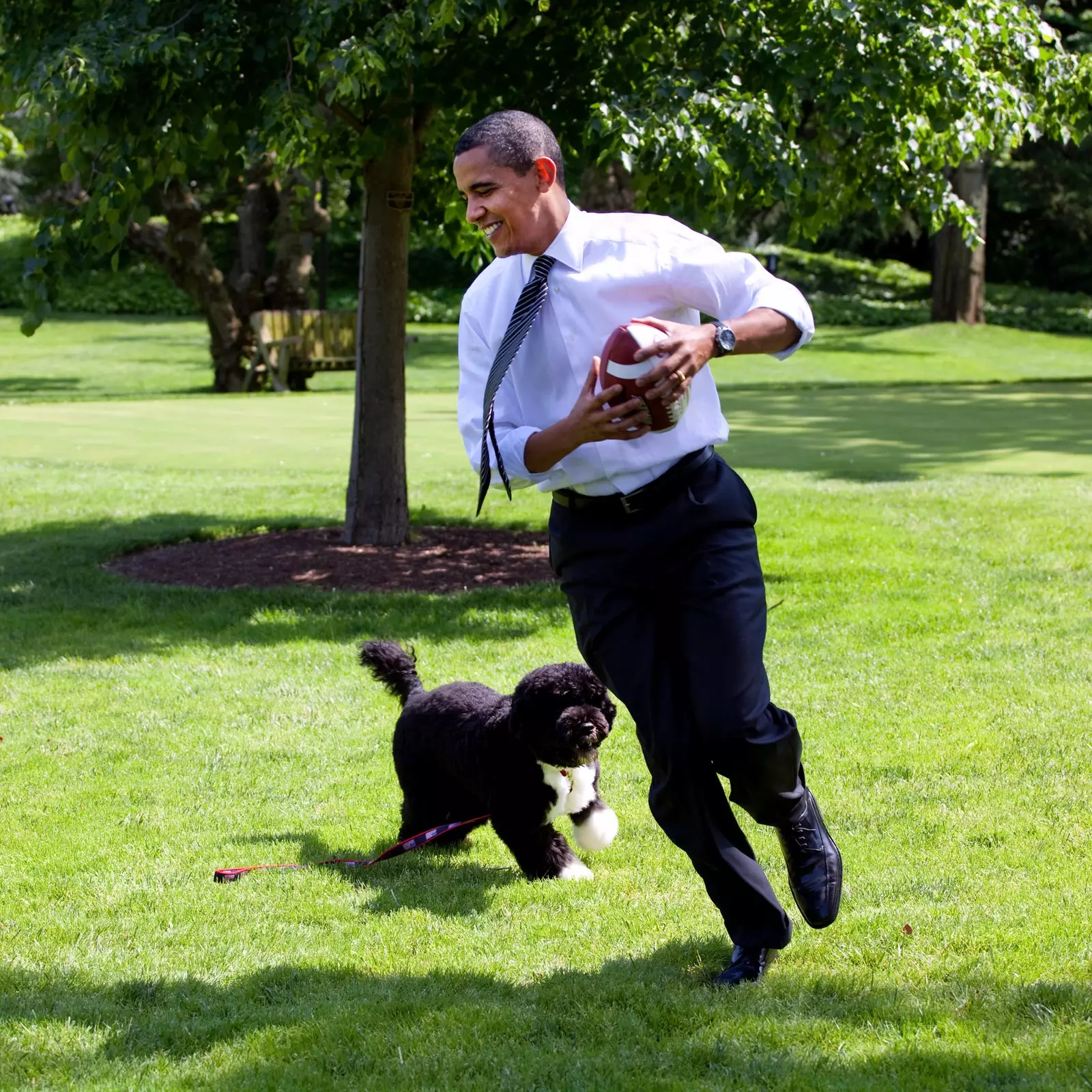 Barack Obama portrettert av Pete Souza leker med Bo familiehunden i Det hvite hus i mai 2009