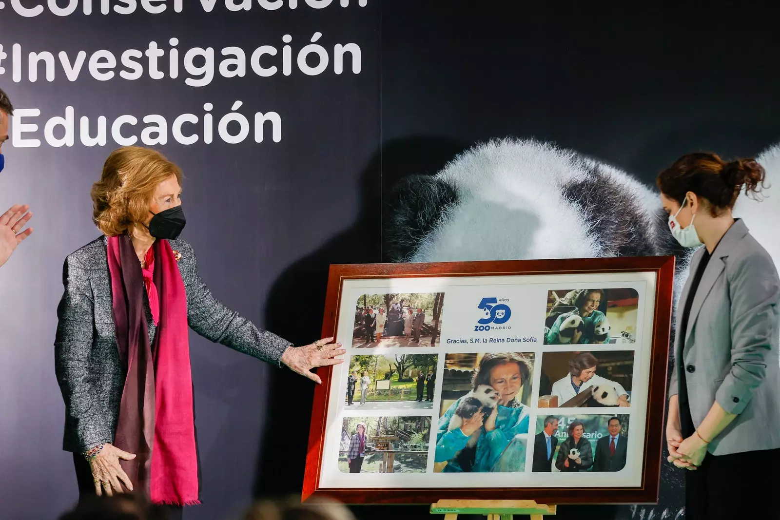 राणी सोफिया माद्रिद प्राणीसंग्रहालयात नवीन पांडांना भेट देते