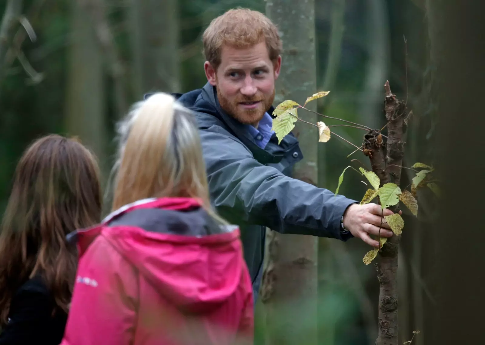 Prince Harry i se asiasiga i Brockholes Nature Reserve i Preston Lancashire i le 2017.