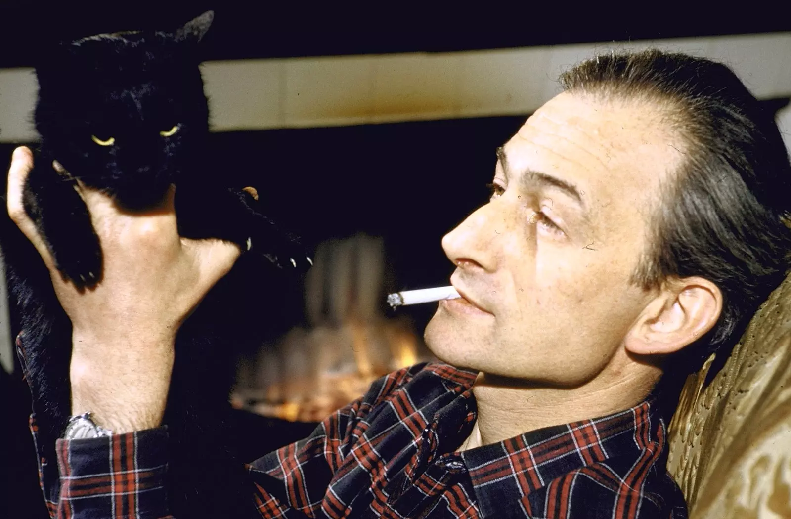 Балтус 1956 онд Орфи муур руугаа гайхсан харагдсан бөгөөд зураачийн зургуудыг хараад Хавьер Азнар ингэж үлджээ...