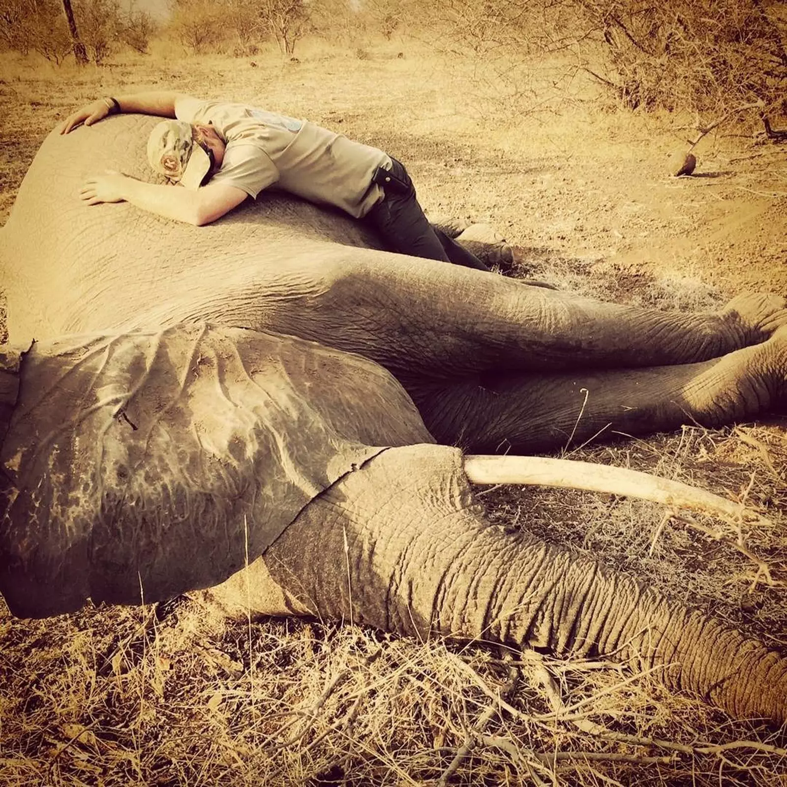Принц Гарри обнимает слона во время своего визита в Южную Африку прошлым летом.