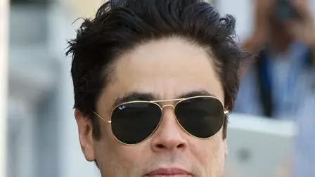 Benicio del Toro kaj la 17 vangofrapoj kiujn Salma Hayek batis lin