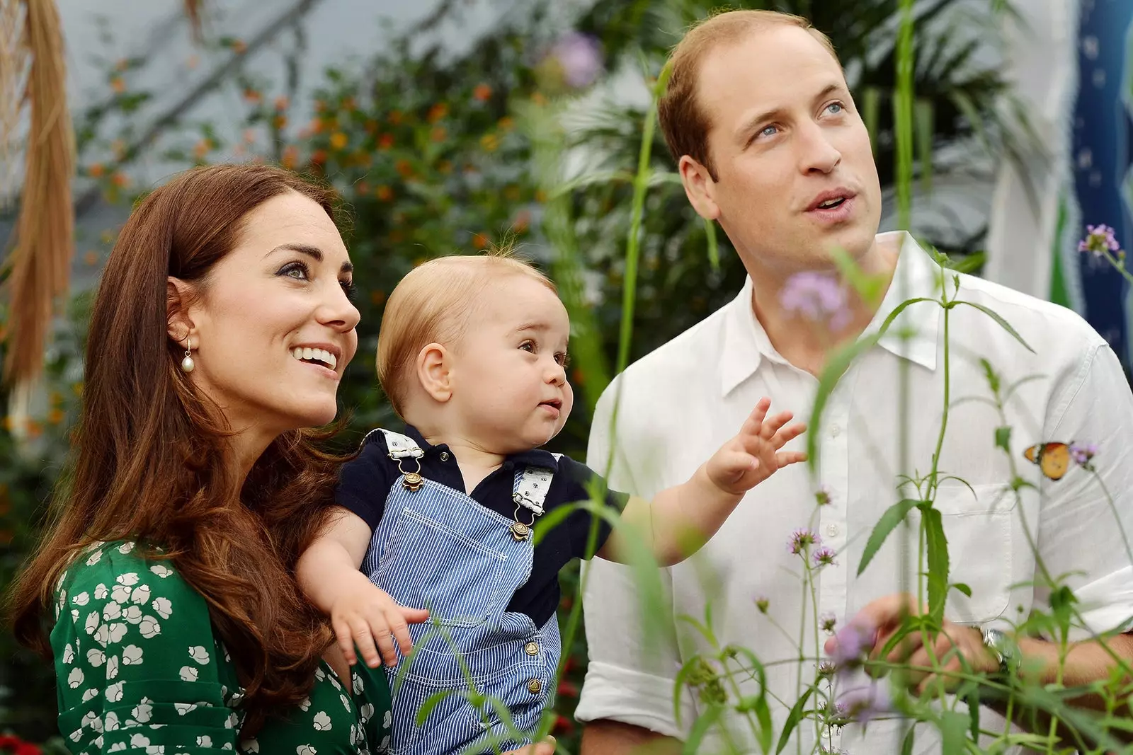 Image may contain ព្រះអង្គម្ចាស់ William Duke of Cambridge Human Person Prince George of Cambridge Plant Finger and Clothing