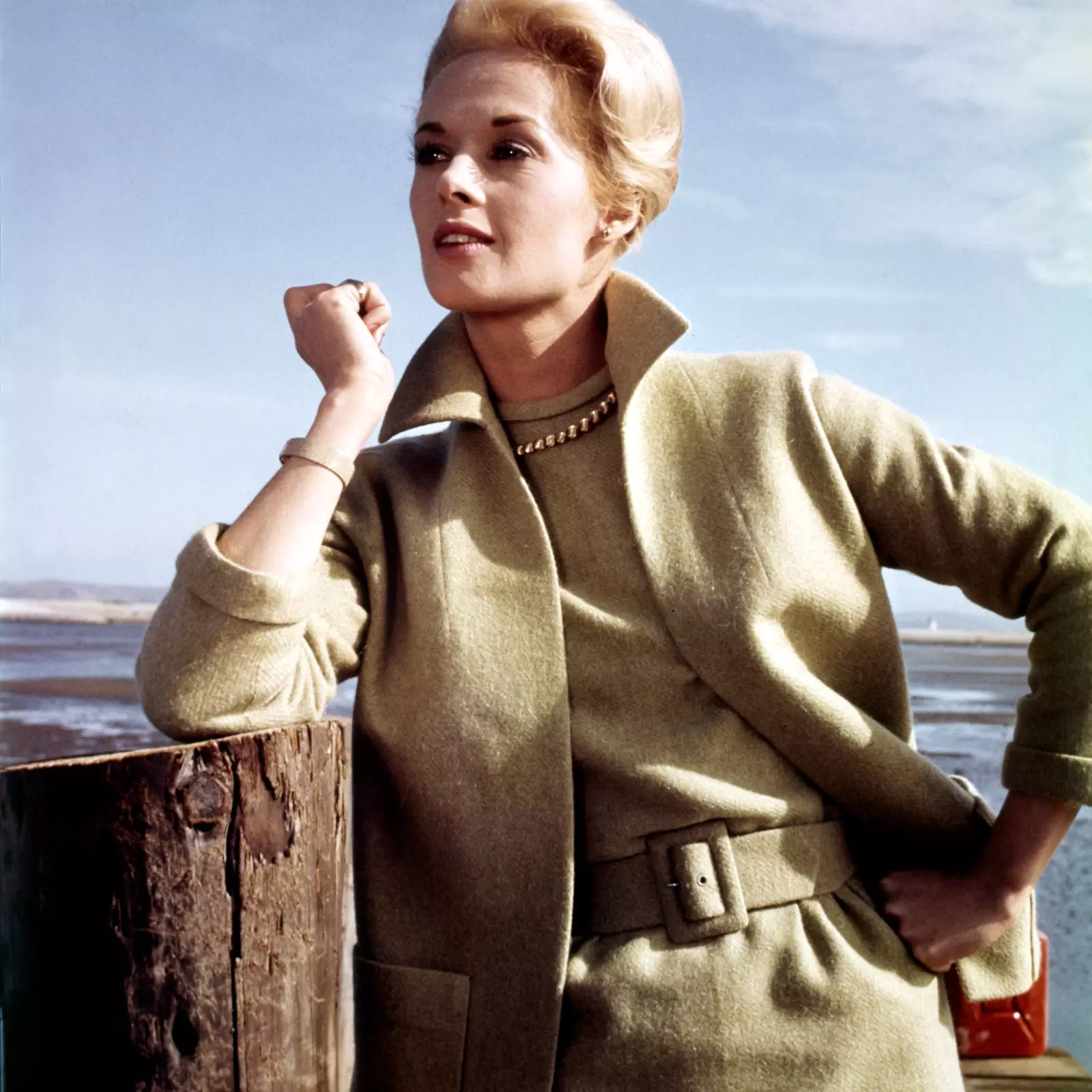 Tippi Hedren កំឡុងពេលថតរឿង 'The Birds' ។