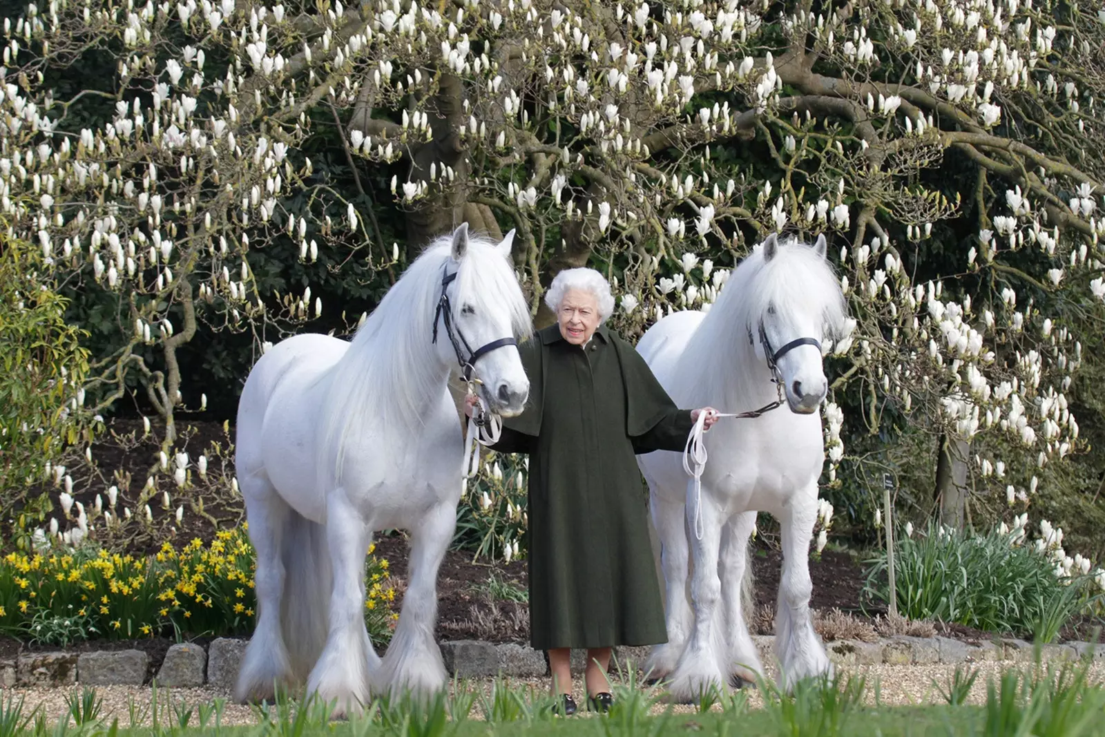 Billedet kan indeholde Elizabeth II Animal Pattedyr Hest Menneskelig Person Beklædning Beklædning og Colt Horse