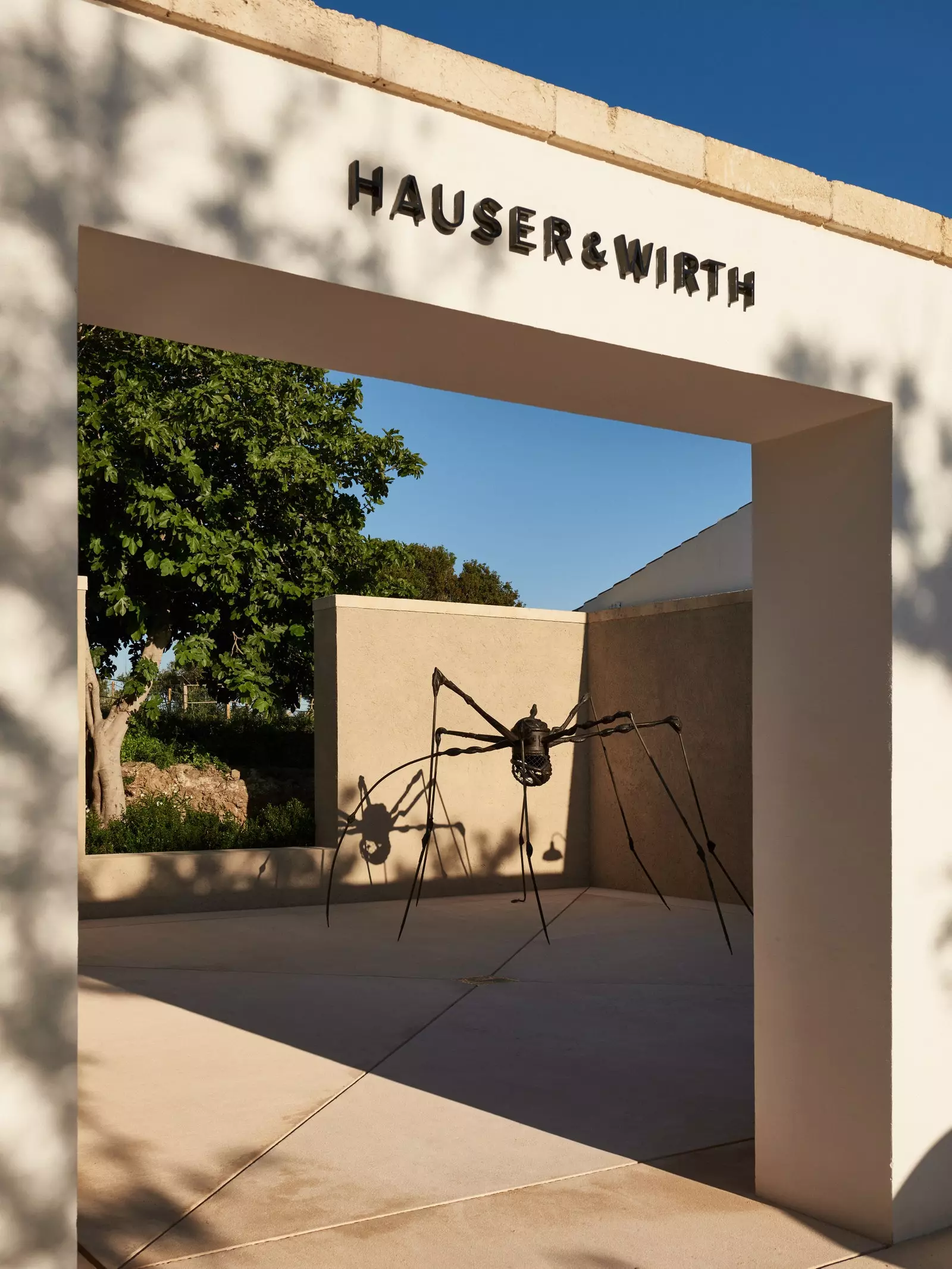 'Spider dening Louise Bourgeois ing Hauser & Wirth Menorca © The Easton Foundation DACS Courtesy The Easton Foundation lan ...