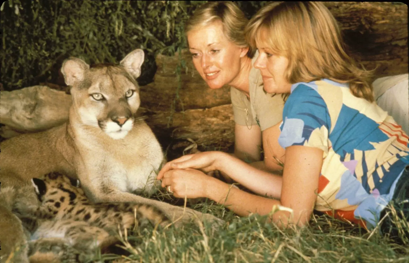 Melani we Tippi filmiň mahabatlandyrylyşynda köpçülikleýin çykyş wagtynda.