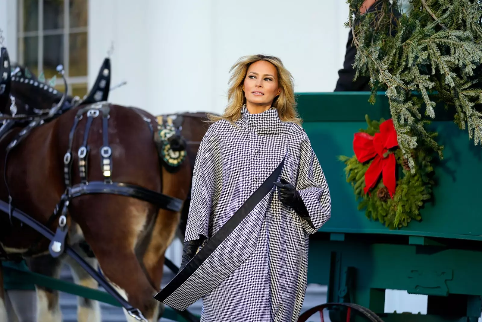 Melania Trump in Balenciaga en sonder 'n masker in haar laaste optrede as presidentsvrou, die koms van die Kersboom van die...