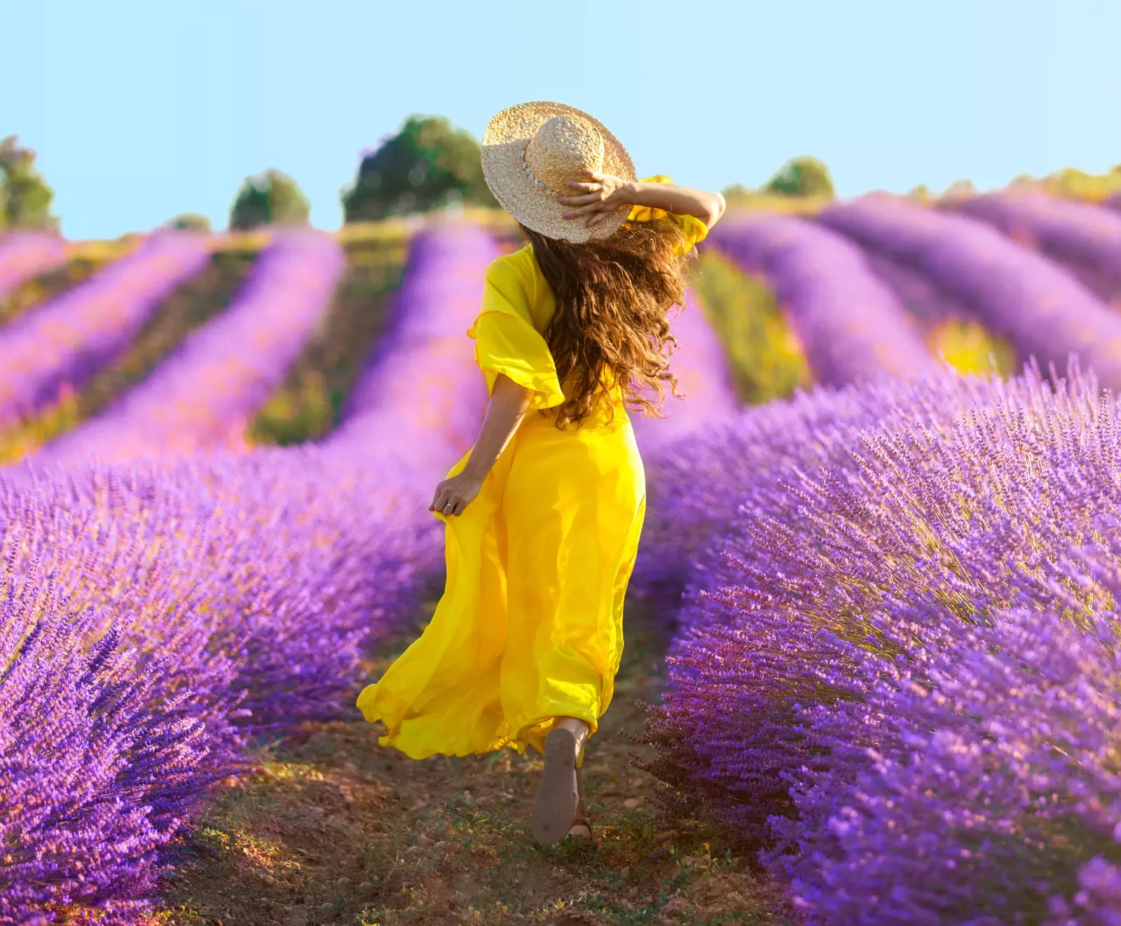 chapéu de campo de lavanda de beleza de mulher