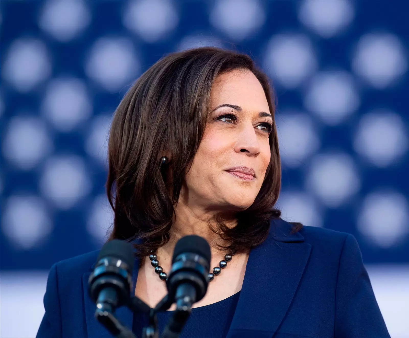 Totes les cases que té Kamala Harris xalet amb piscina a Los Angeles apartament a Washington pis a San Francisco...