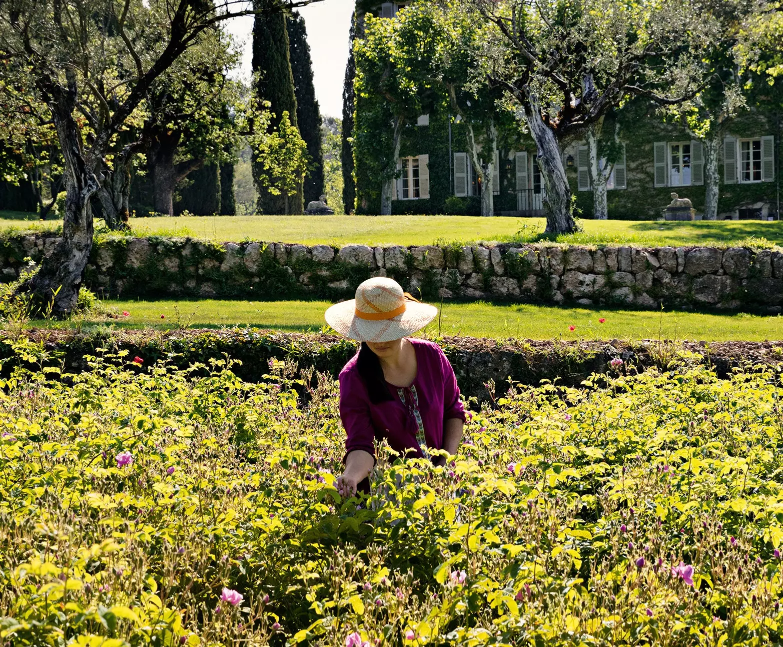 Historien om, hvordan Christian Diors passion for blomster fik ham til at dyrke en have