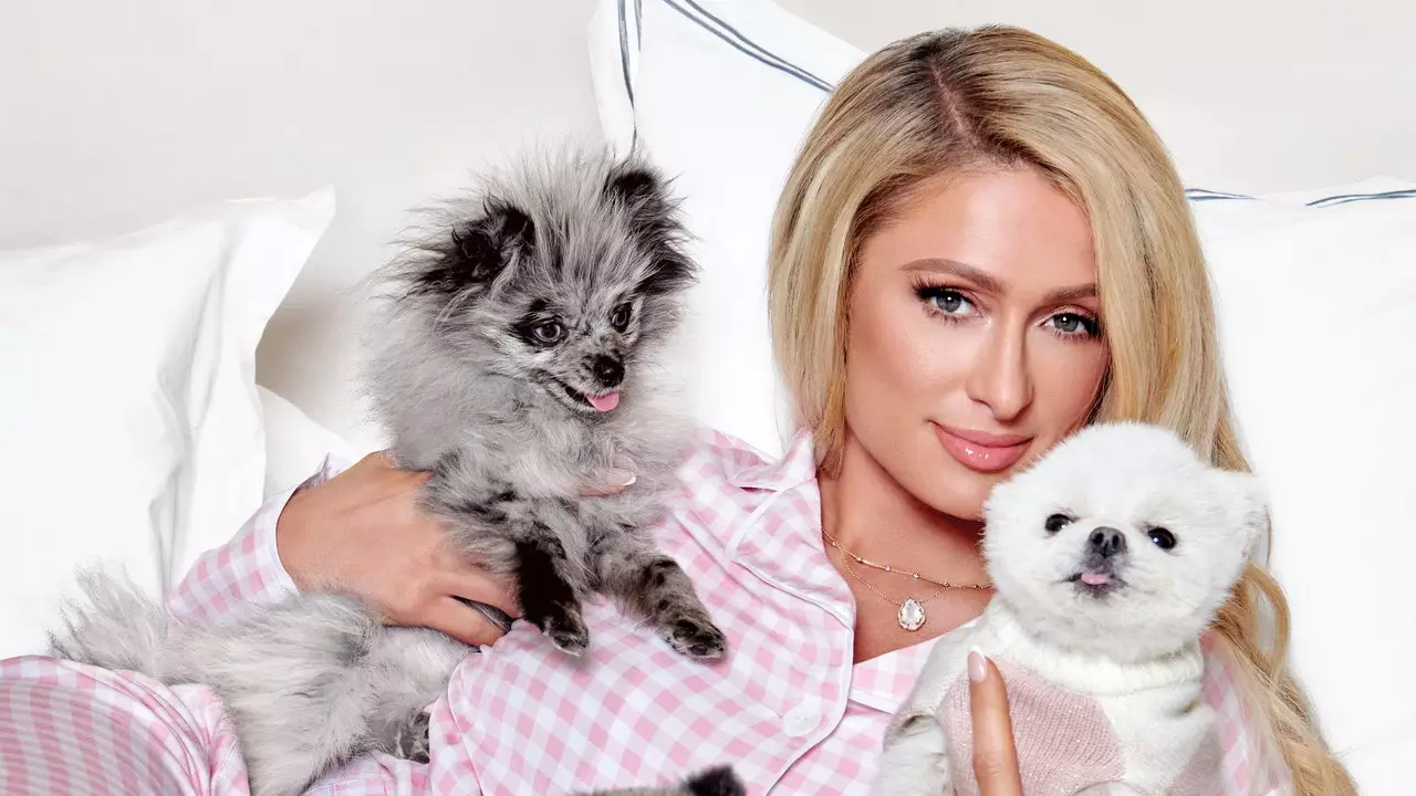 Paris Hilton, daga matashin da ke cikin damuwa har zuwa maganar kasuwanci: girmanta a kan iyakokin dangi